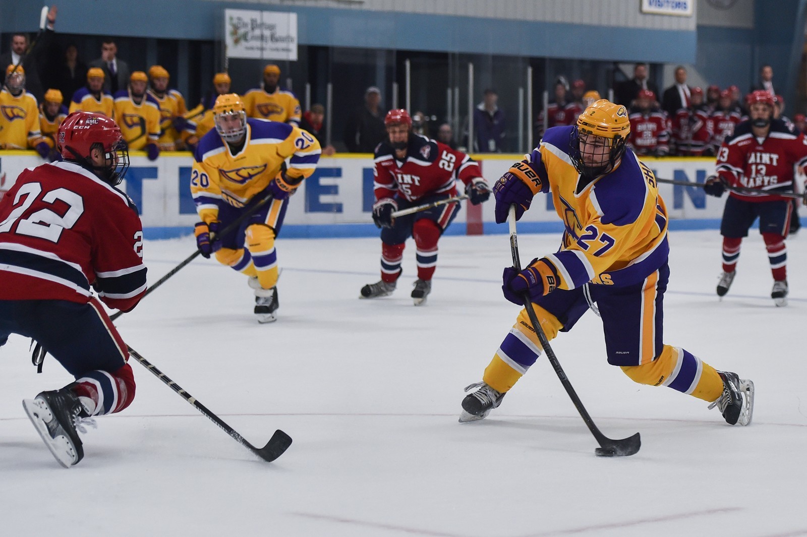 Kyle Sharkey - Men's Hockey - University of Wisconsin - Stevens Point ...