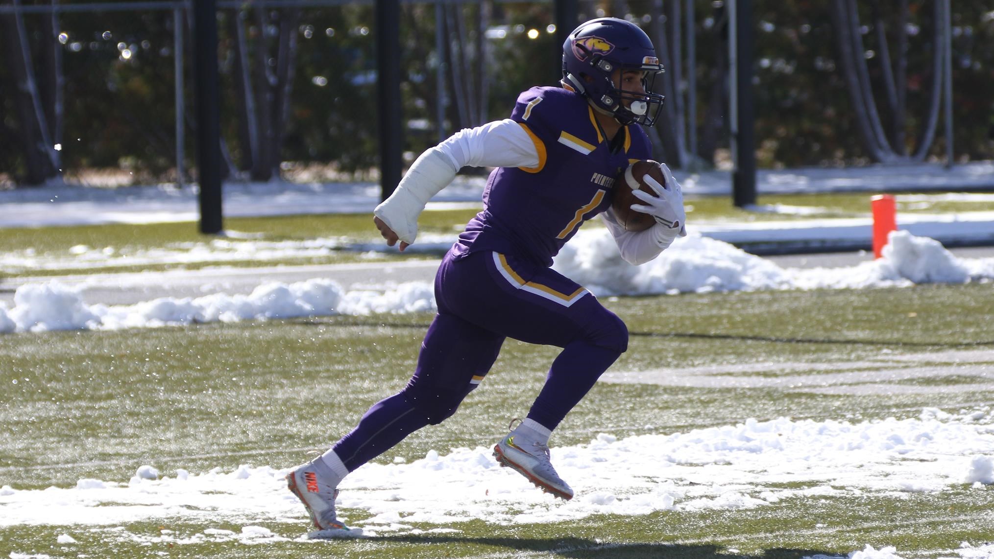Christian Almonte - Football - University of Wisconsin - Stevens Point ...