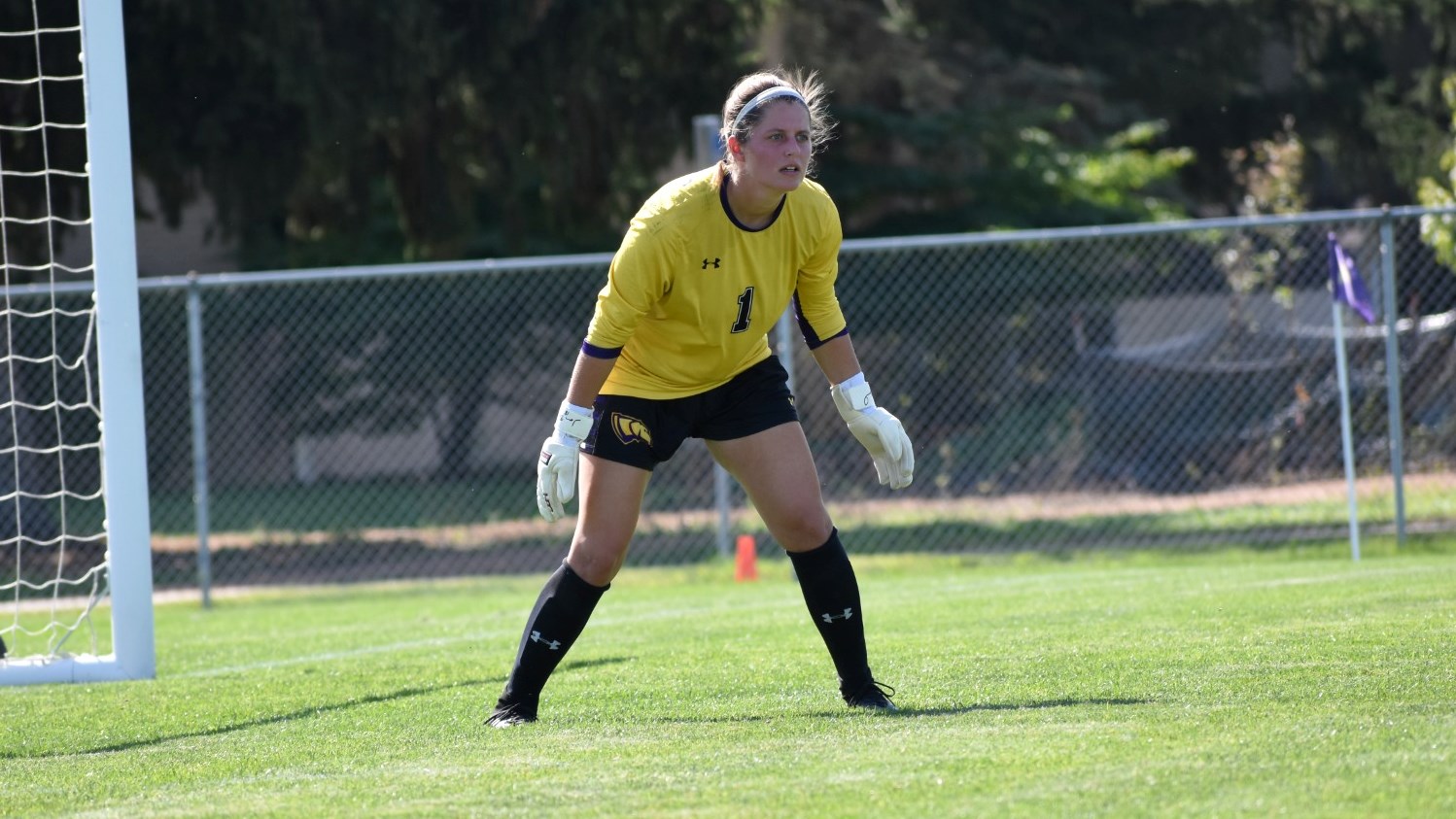 Nieman Notches Shutout, Pointers Draw at Hamline - University of ...