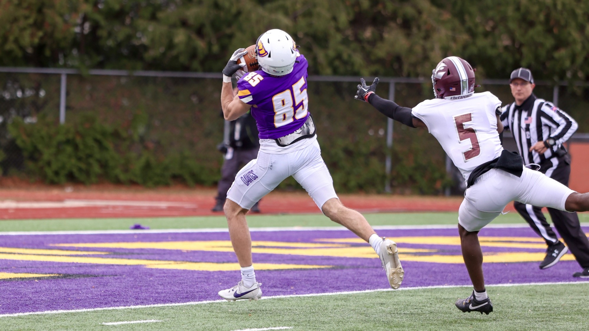 Lemke Hauls in First Career Touchdown in Pointers’ Season Finale ...
