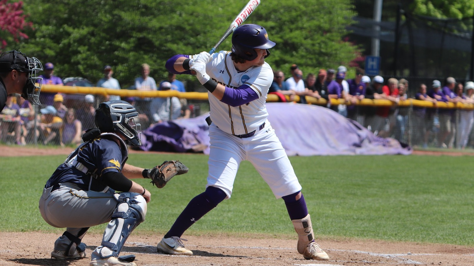 Bradley Comer - Baseball - University of Wisconsin - Stevens Point ...