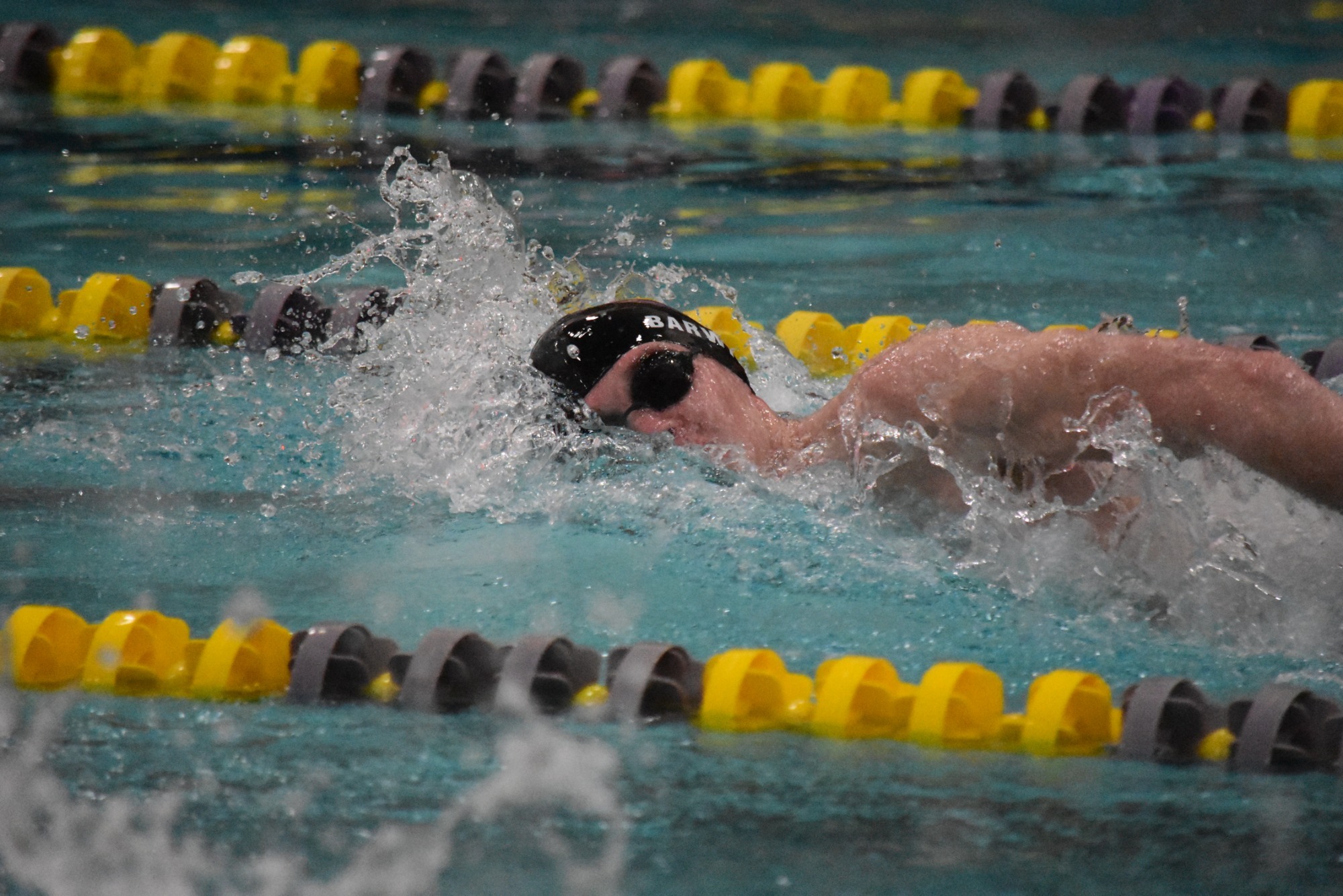 Pointers Take 18 Events, Defeat UW-Whitewater in Home Dual - University ...