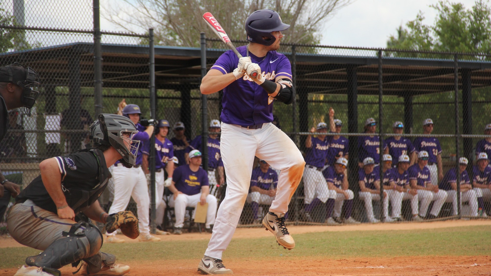 Van Ess Drives In Career-Best Five as Pointers Win Second-Straight ...