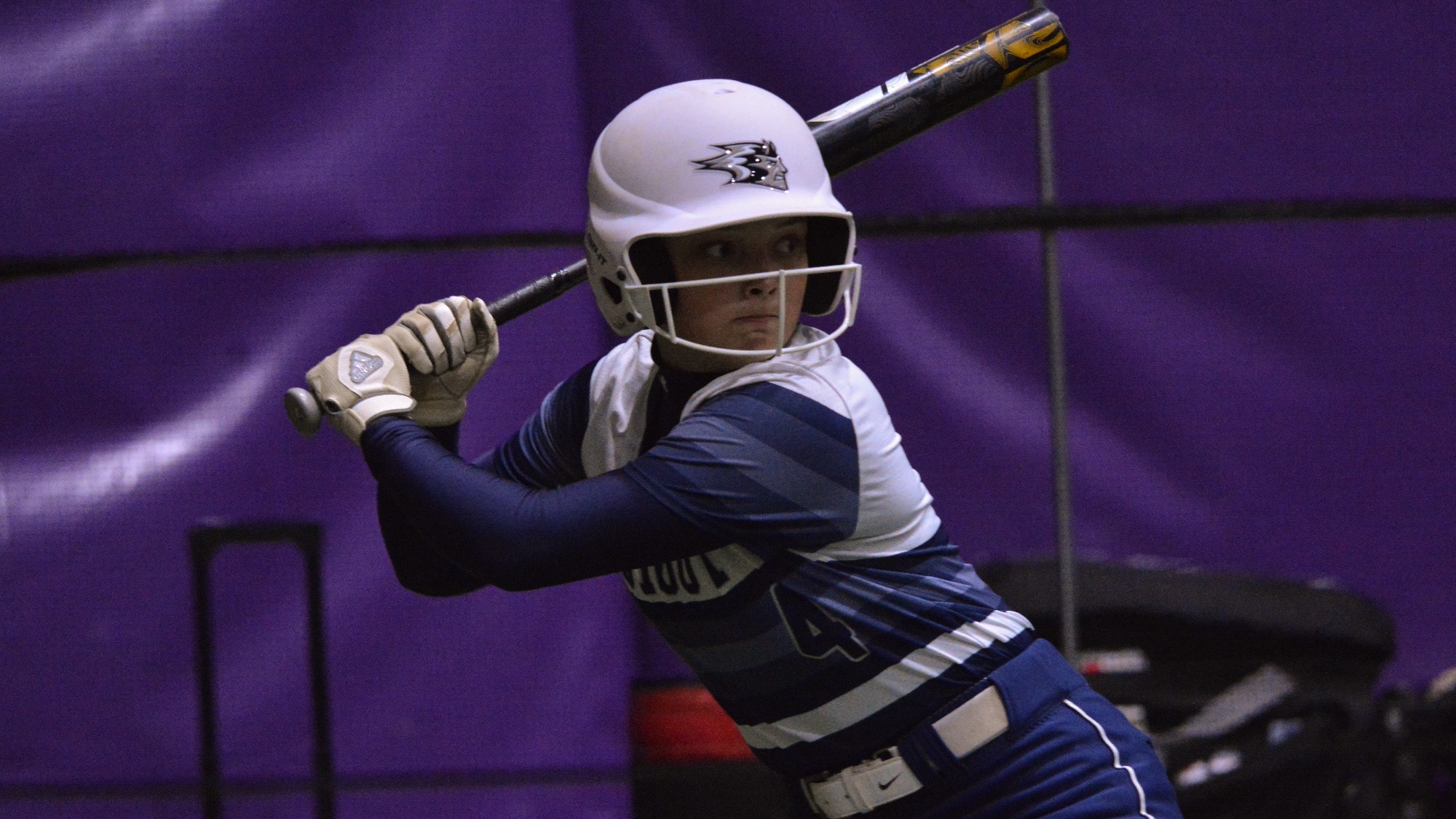 Blue Devil Softball Drops a Pair at Bethany Lutheran - University of ...
