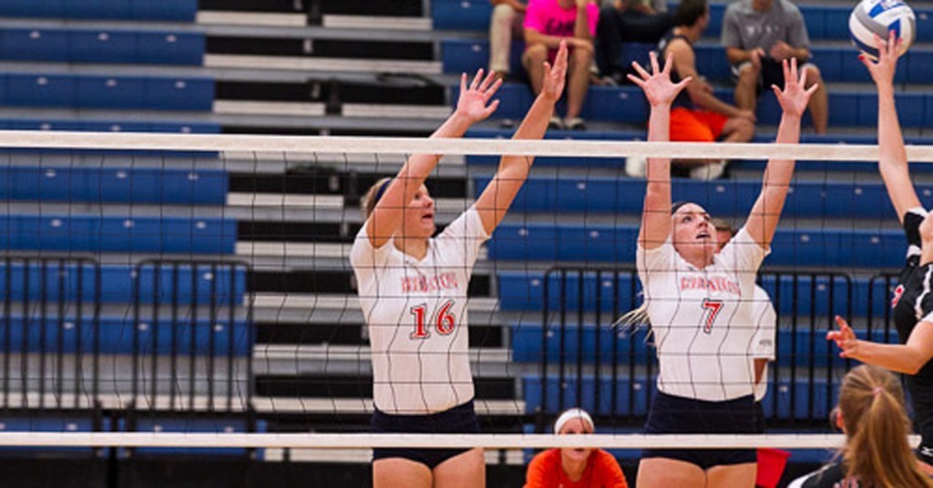 Hannah Japp - Volleyball - Wheaton College Athletics