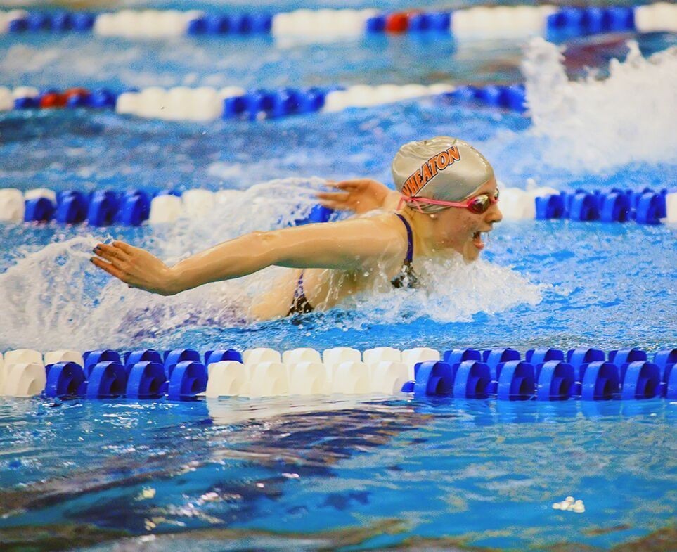 Sarah Coley - Women's Swimming & Diving - Wheaton College Athletics