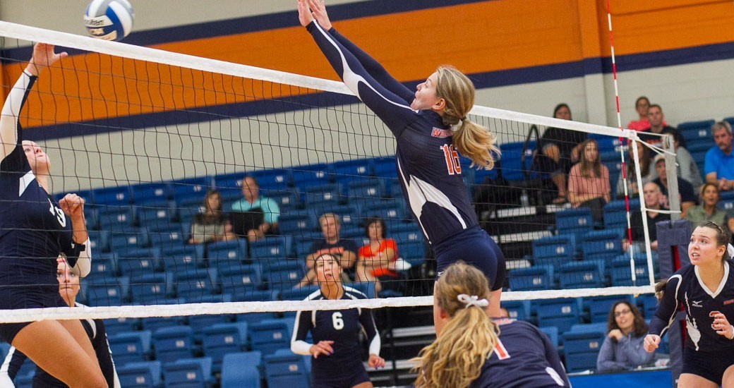 Hannah Japp - Volleyball - Wheaton College Athletics