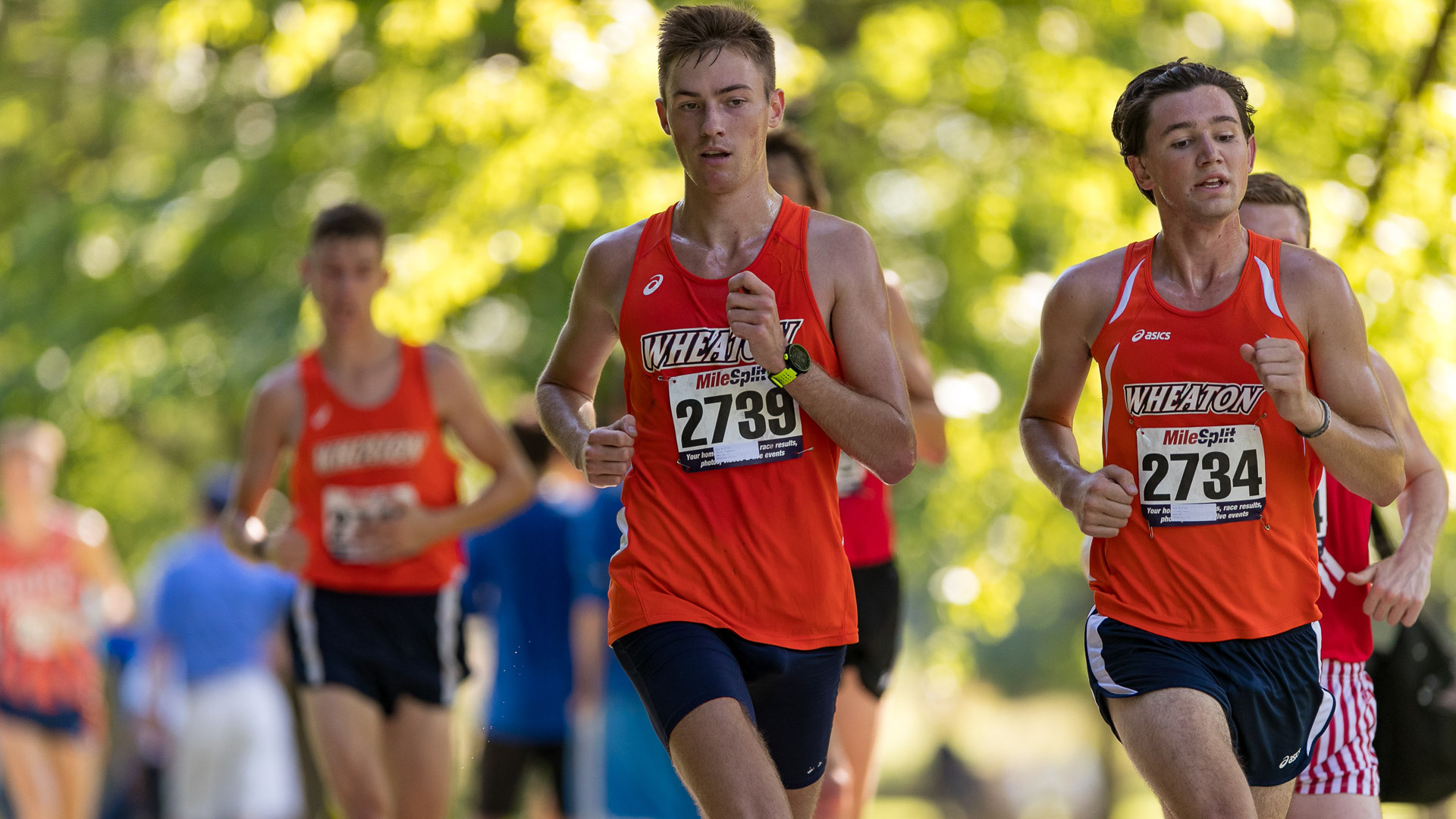 Soren Johnson - Men's Cross Country - Wheaton College Athletics
