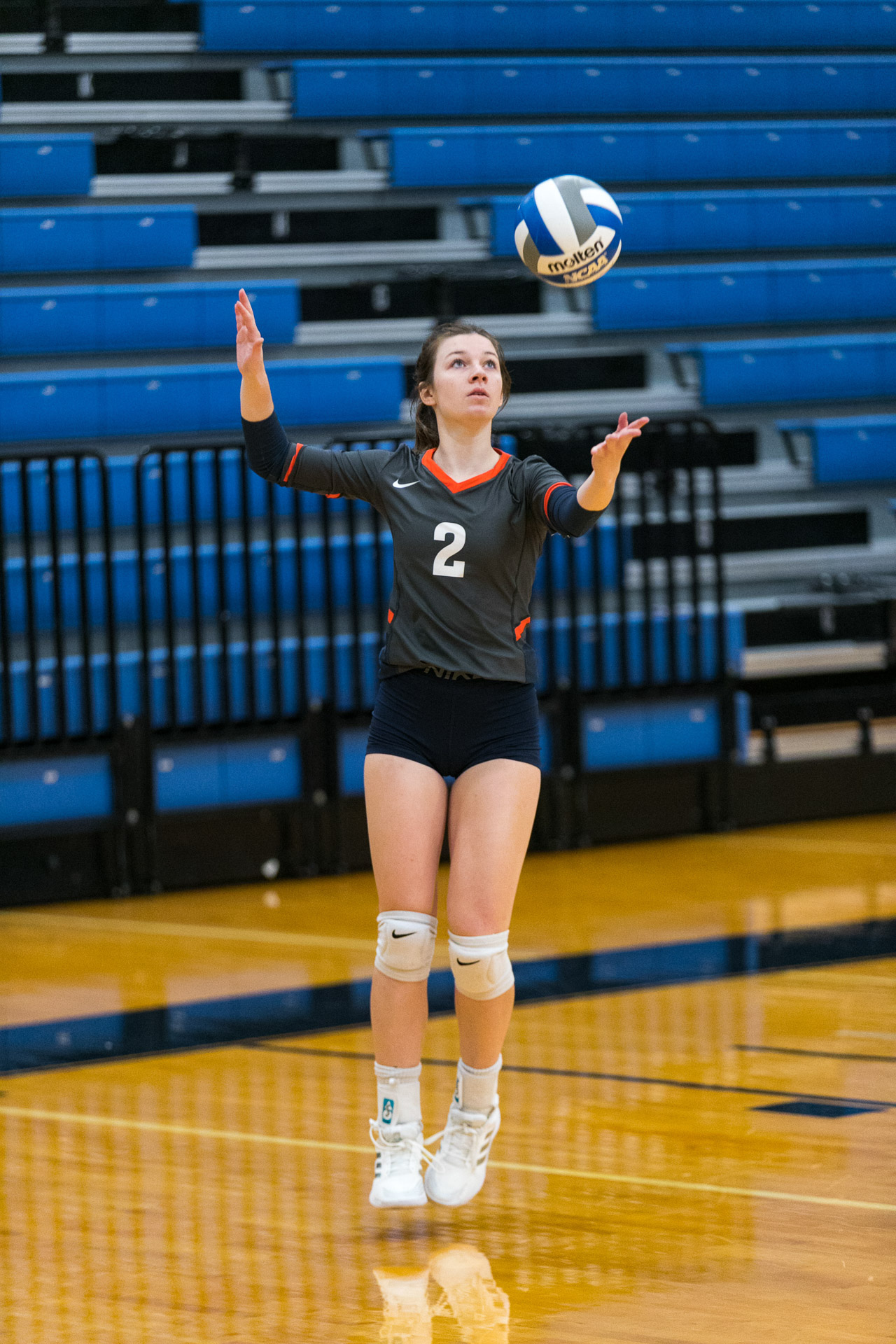 Davis Whitehead - Volleyball - Wheaton College Athletics