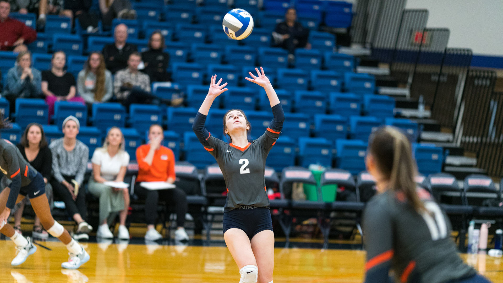 Davis Whitehead - Volleyball - Wheaton College Athletics