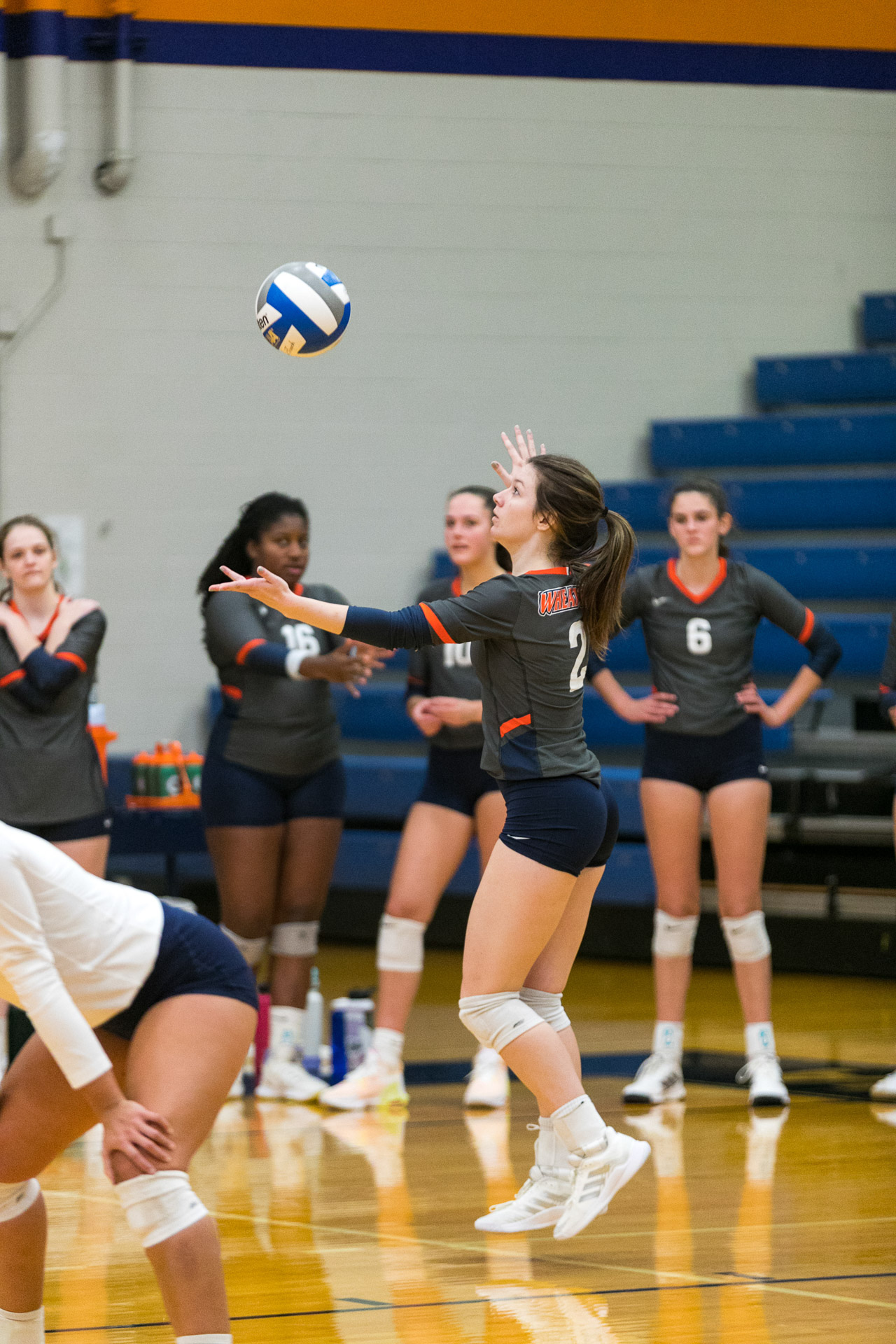 Davis Whitehead - Volleyball - Wheaton College Athletics