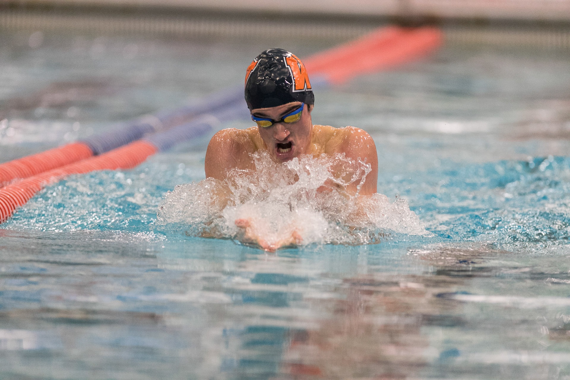 Anthony Fitzgerald - Men's Swimming & Diving - Wheaton College Athletics