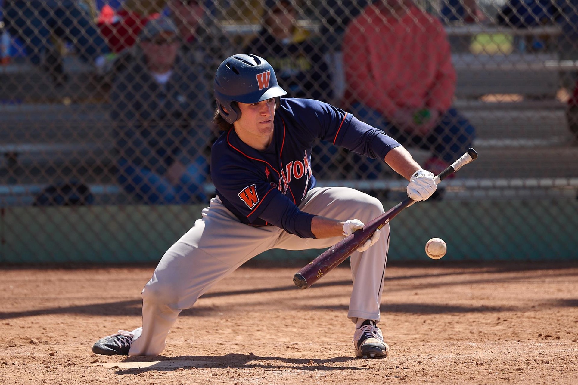 Matt Nelson - Baseball - Wheaton College Athletics