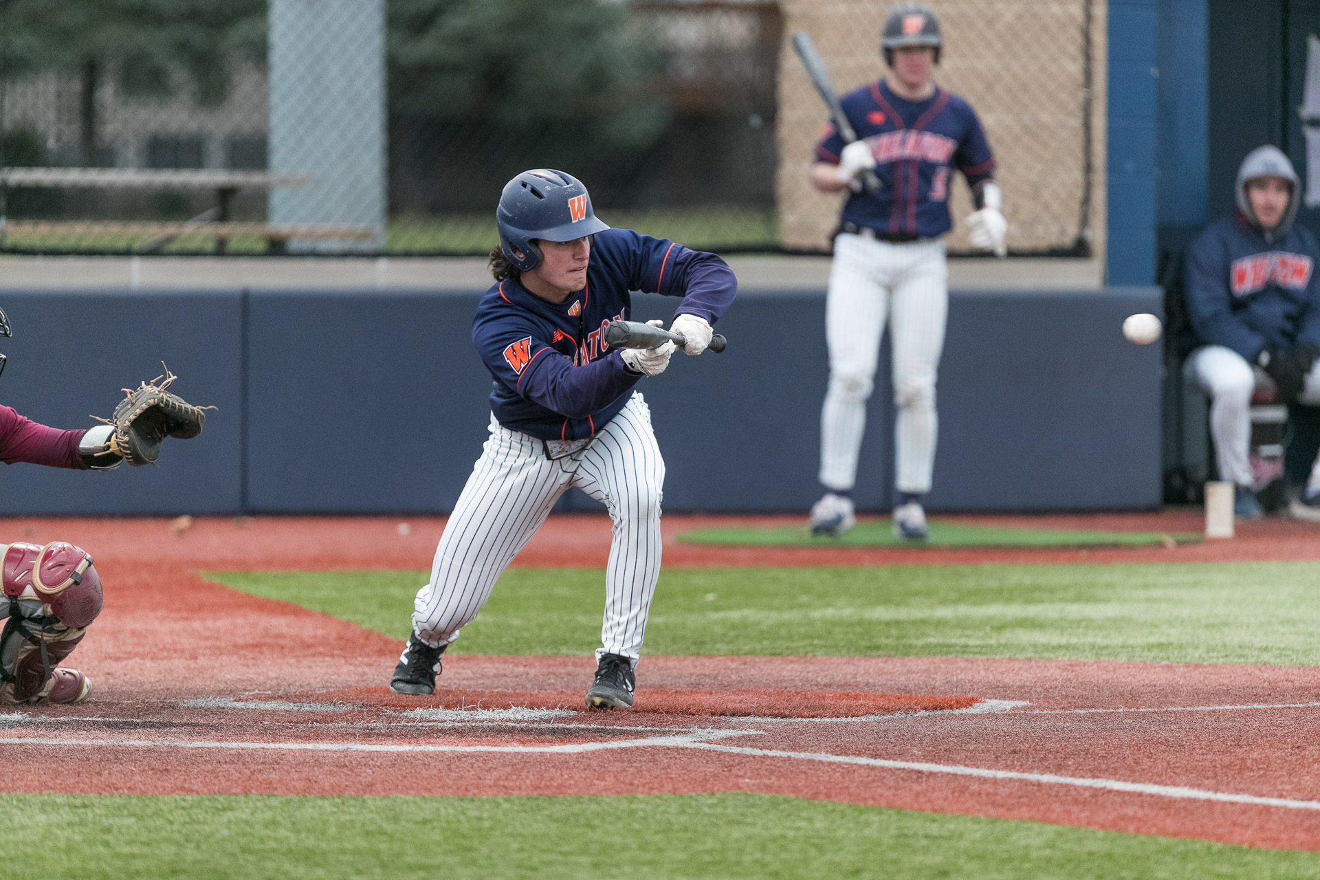 Matt Nelson - Baseball - Wheaton College Athletics