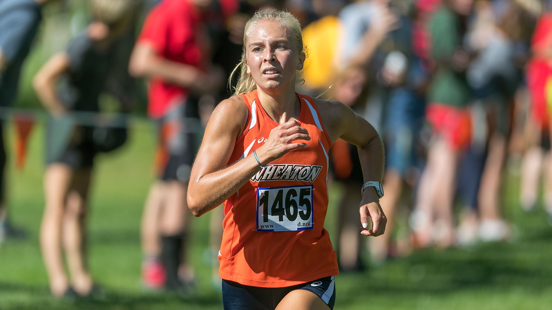 Alyssa Mantia - Women's Cross Country - Wheaton College Athletics