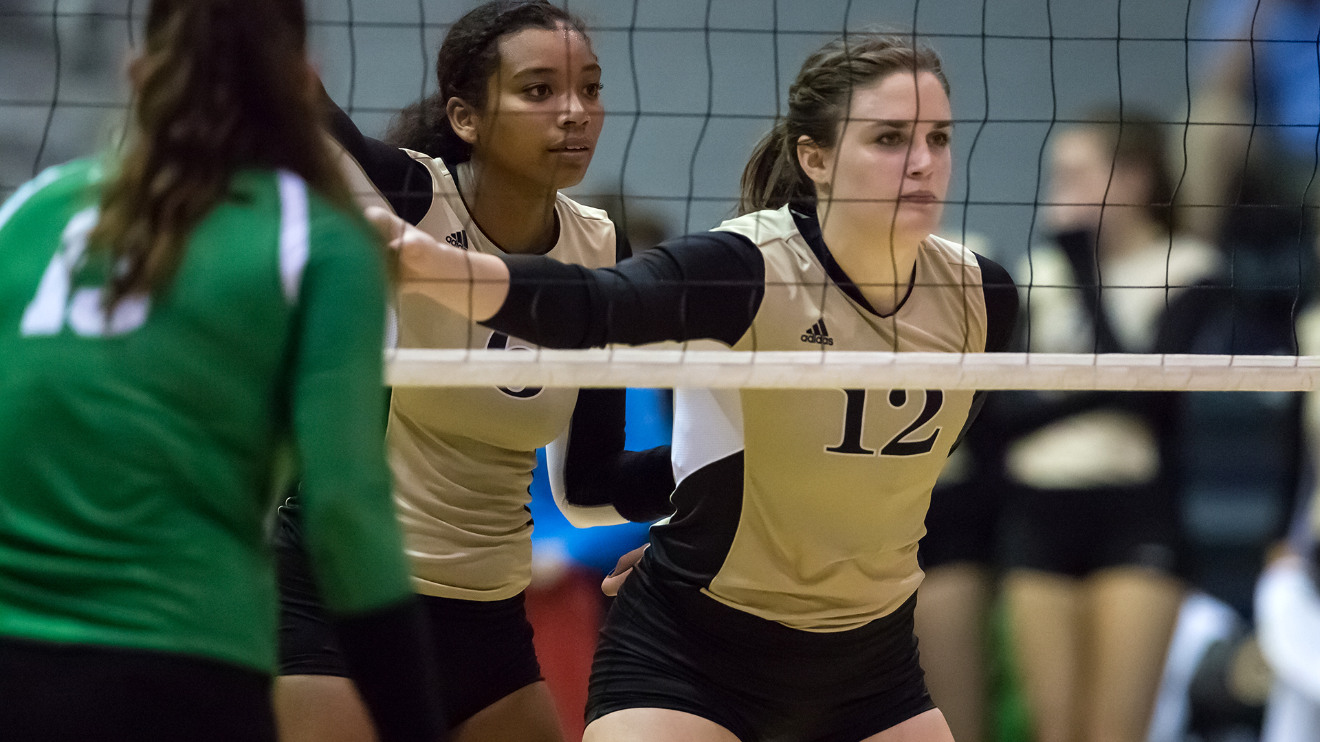 Colleen Reilly - Volleyball - Wofford College Athletics