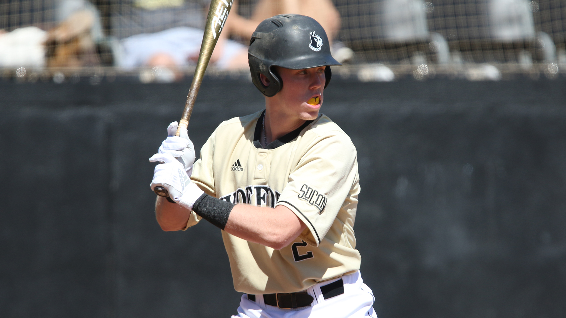 Colin Davis - Baseball - Wofford College Athletics