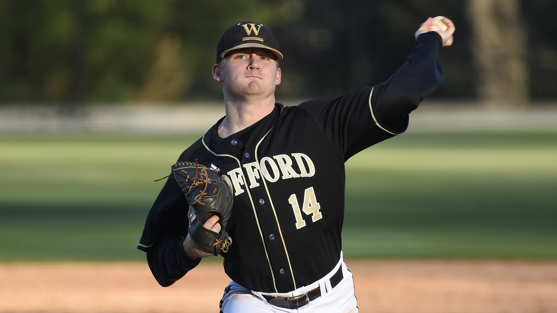 Austin Higginbotham - Baseball - Wofford College Athletics