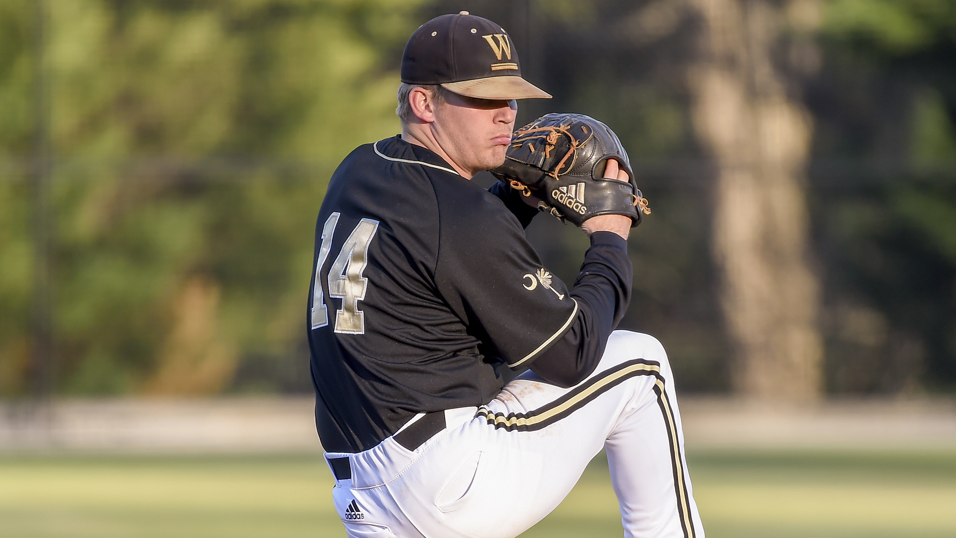 Austin Higginbotham - Baseball - Wofford College Athletics
