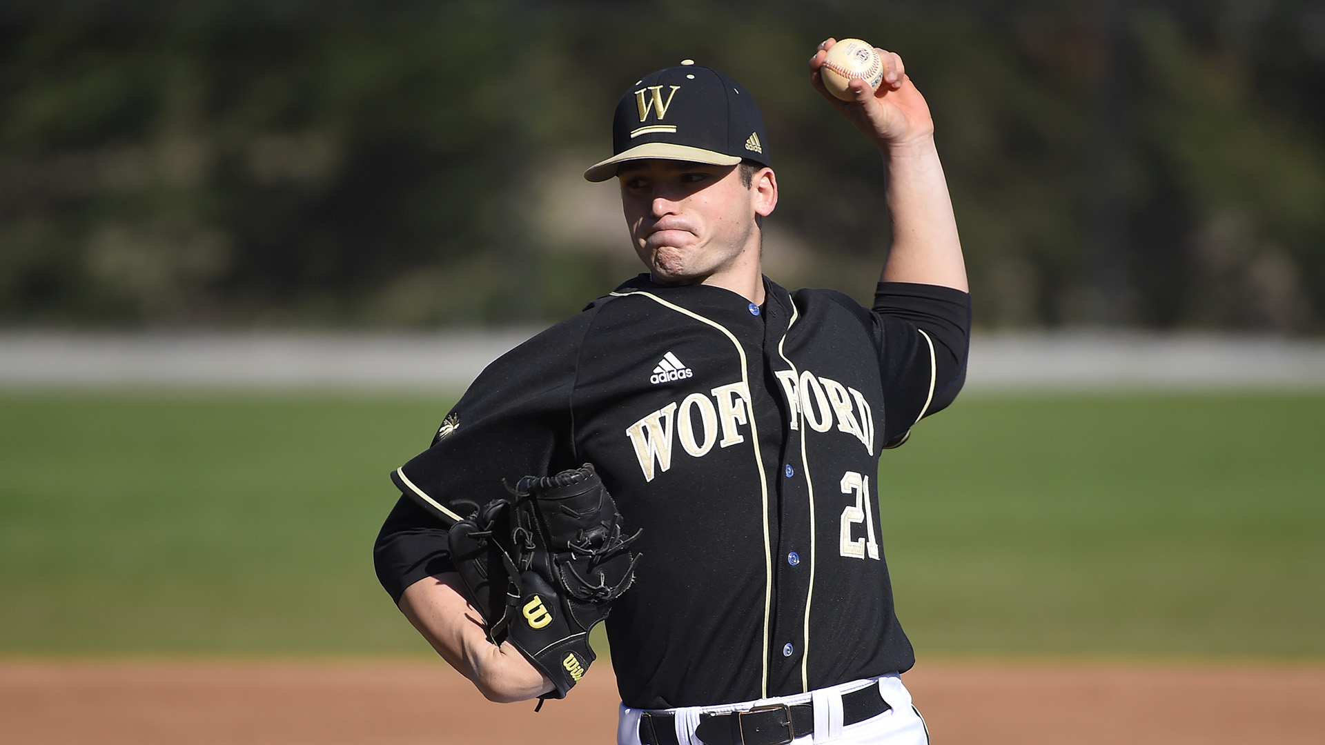 Hayes Heinecke - Baseball - Wofford College Athletics