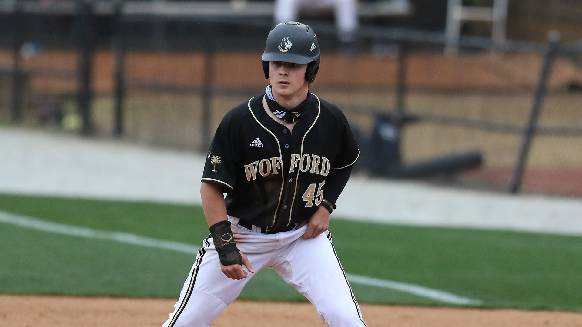 Harris Beckley - Baseball - Wofford College Athletics