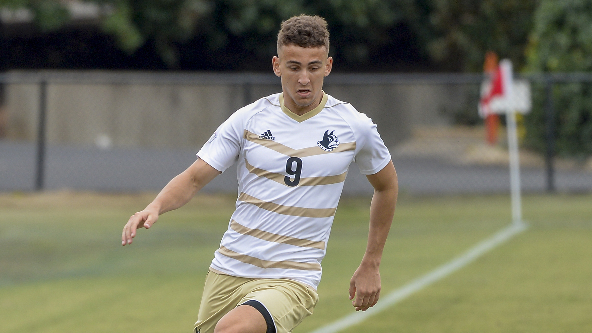 Brandon Oddy - Men's Soccer - Wofford College Athletics