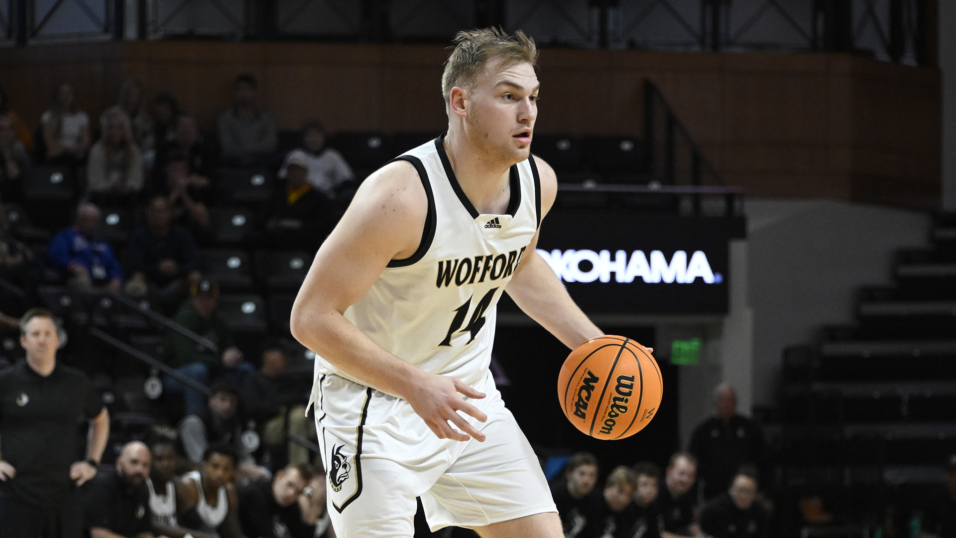 Kyler Filewich - Men's Basketball - Wofford College Athletics