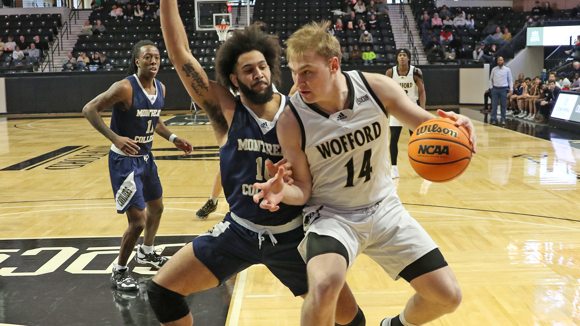 Kyler Filewich - Men's Basketball - Wofford College Athletics