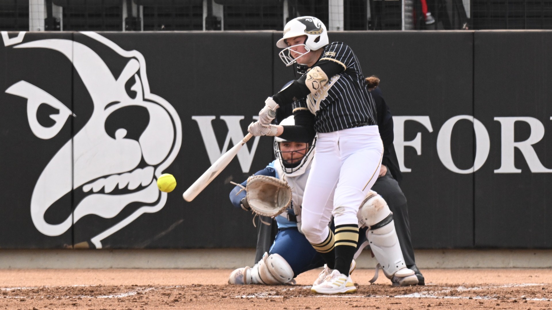 Softball Sweeps Buffalo and Evansville - Wofford College Athletics