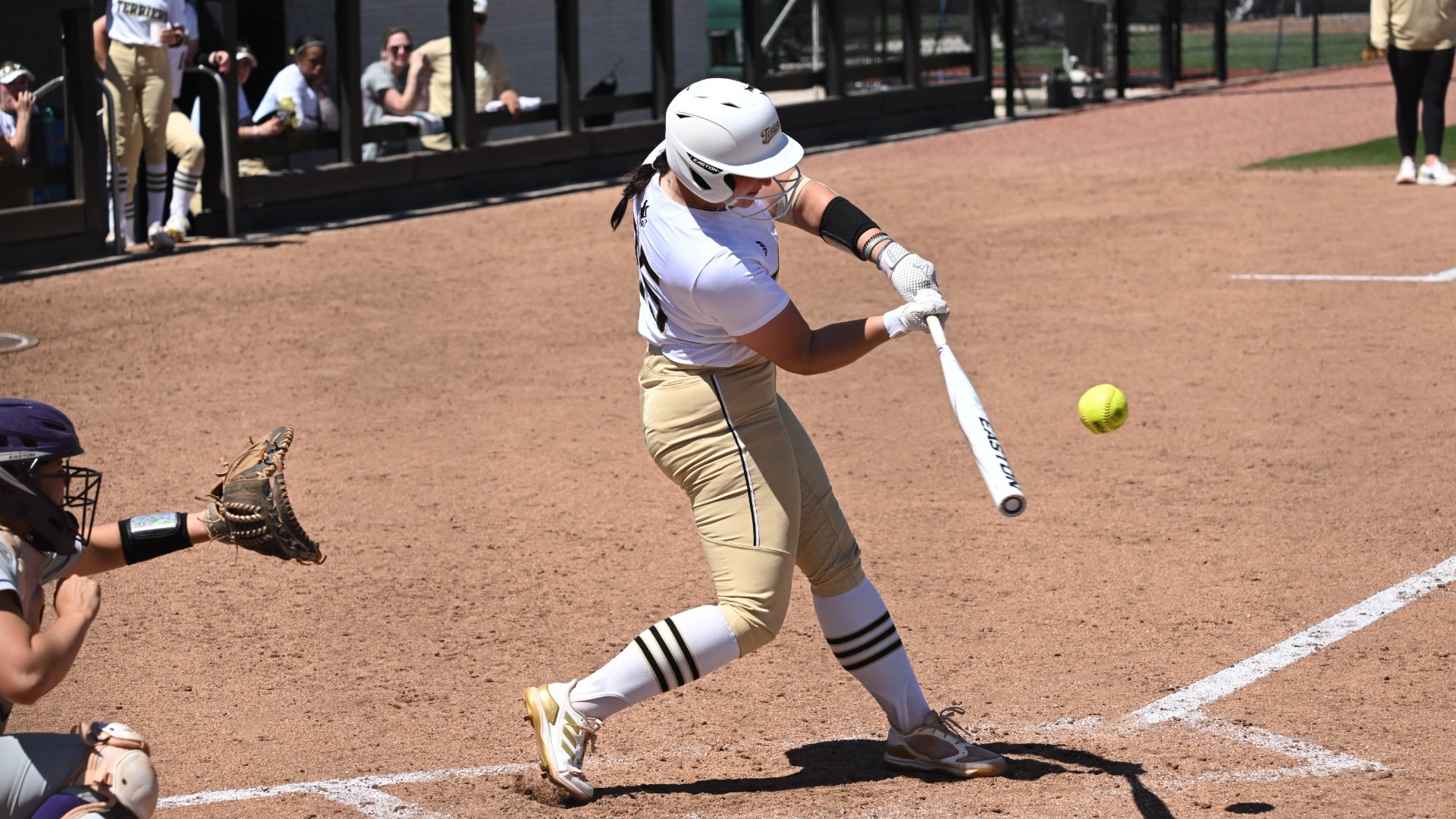 Softball Splits Doubleheader at Furman - Wofford College Athletics