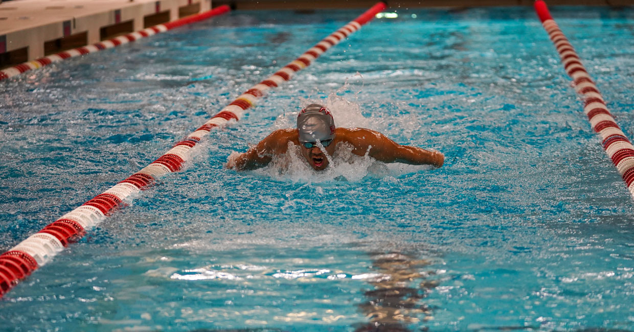 Staubi Collects Three Top 10 Finishes for Men's Swimming and Diving at ...