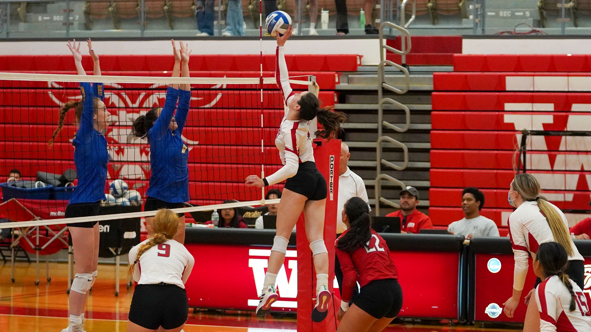 Catherine Reynolds - 2023-24 - Women's Volleyball - Worcester ...