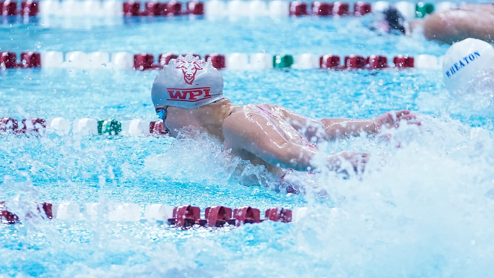 Andrea Wu - 2023-24 - Swimming and Diving - Worcester Polytechnic Institute