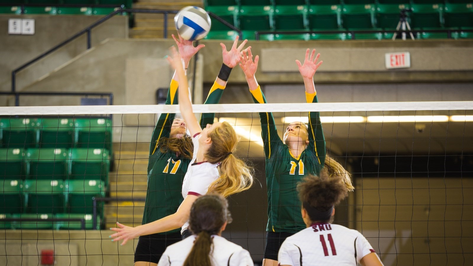 Lauren Rodemers - Women's Volleyball - Arkansas Tech University Athletics