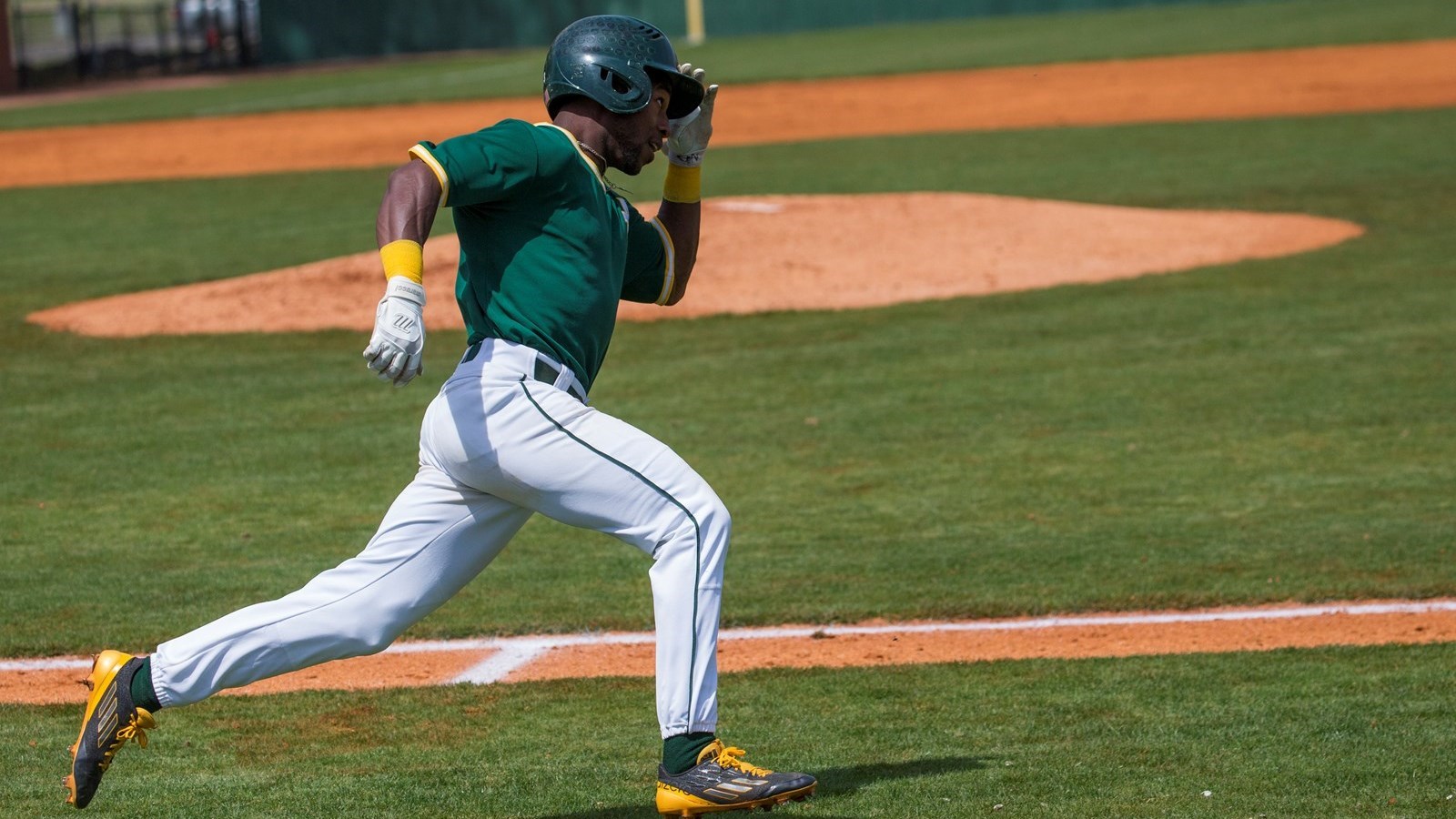Marcus Wilson - Baseball - Arkansas Tech University Athletics