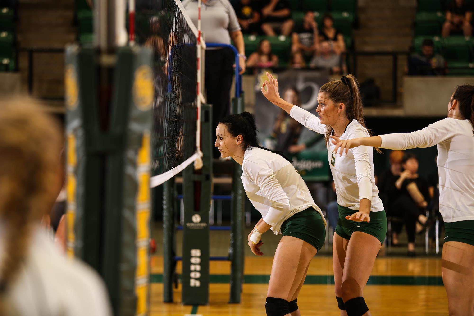 Allie Anderson - Women's Volleyball - Arkansas Tech University Athletics