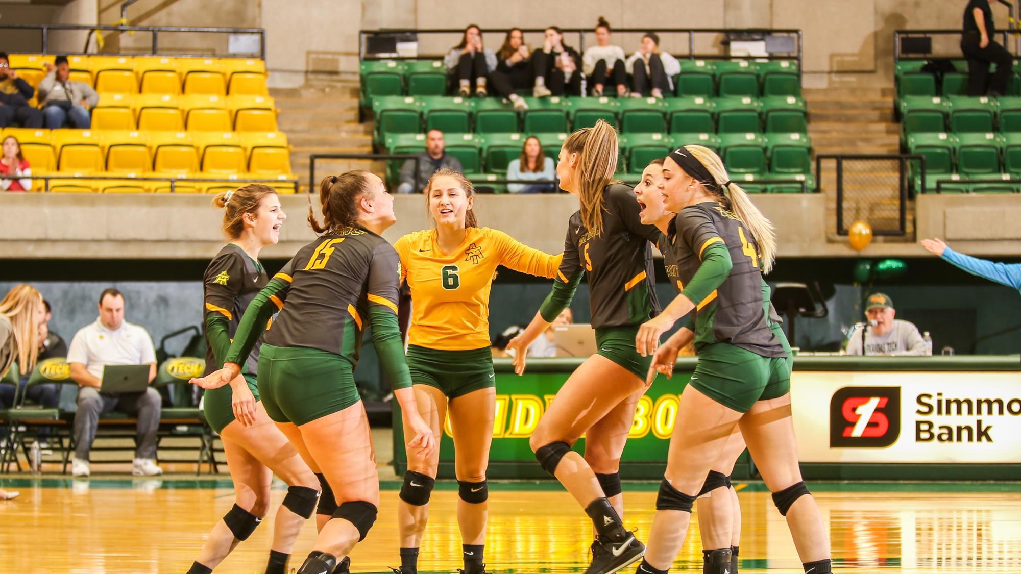 Allie Anderson - Women's Volleyball - Arkansas Tech University Athletics