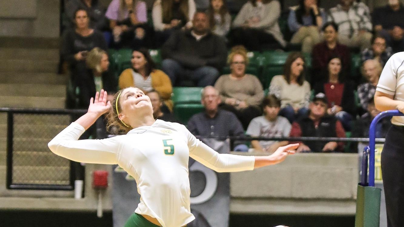 Allie Anderson - Women's Volleyball - Arkansas Tech University Athletics