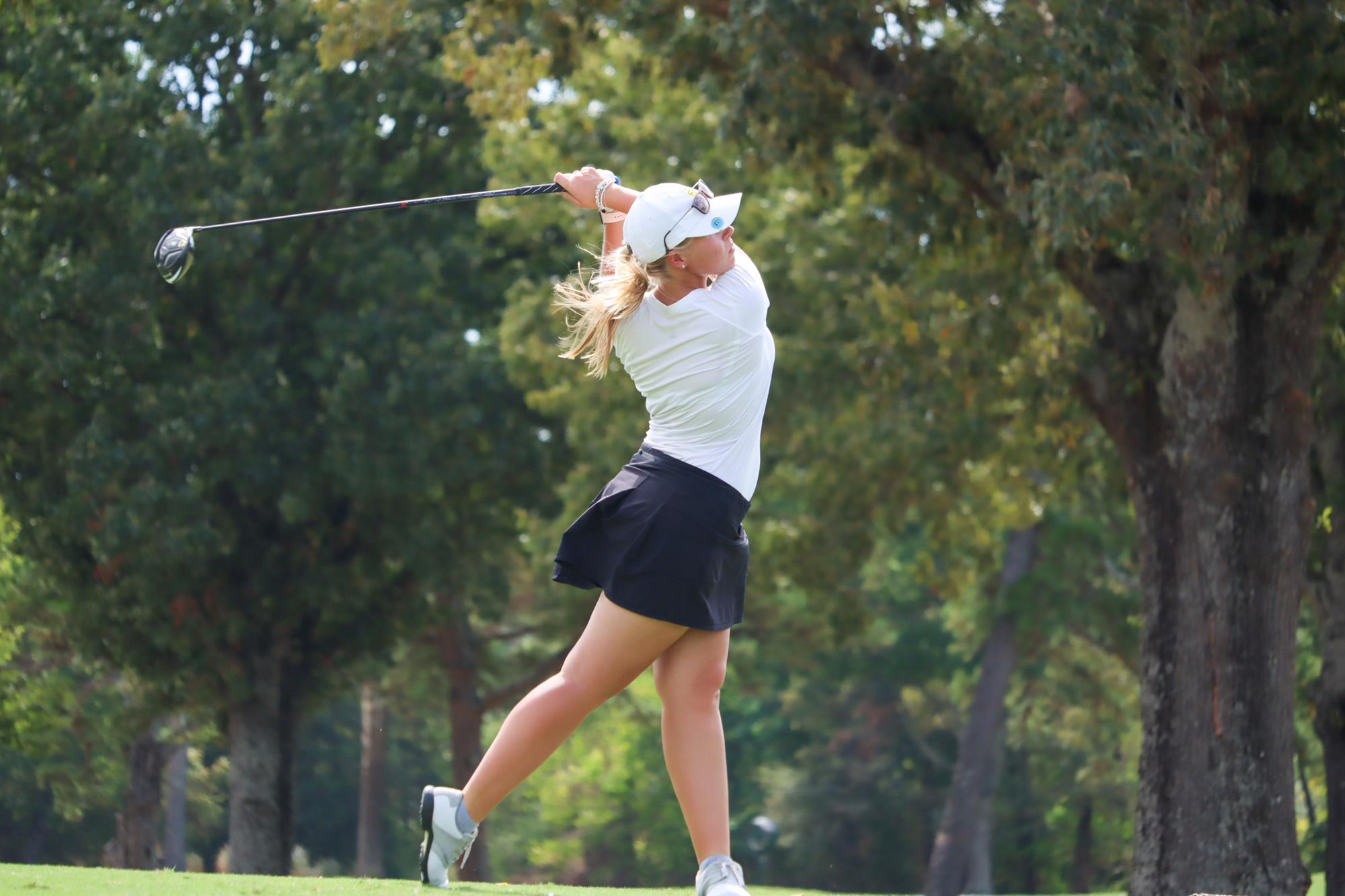 Golden Suns to open spring season at Natural State Classic - Arkansas ...