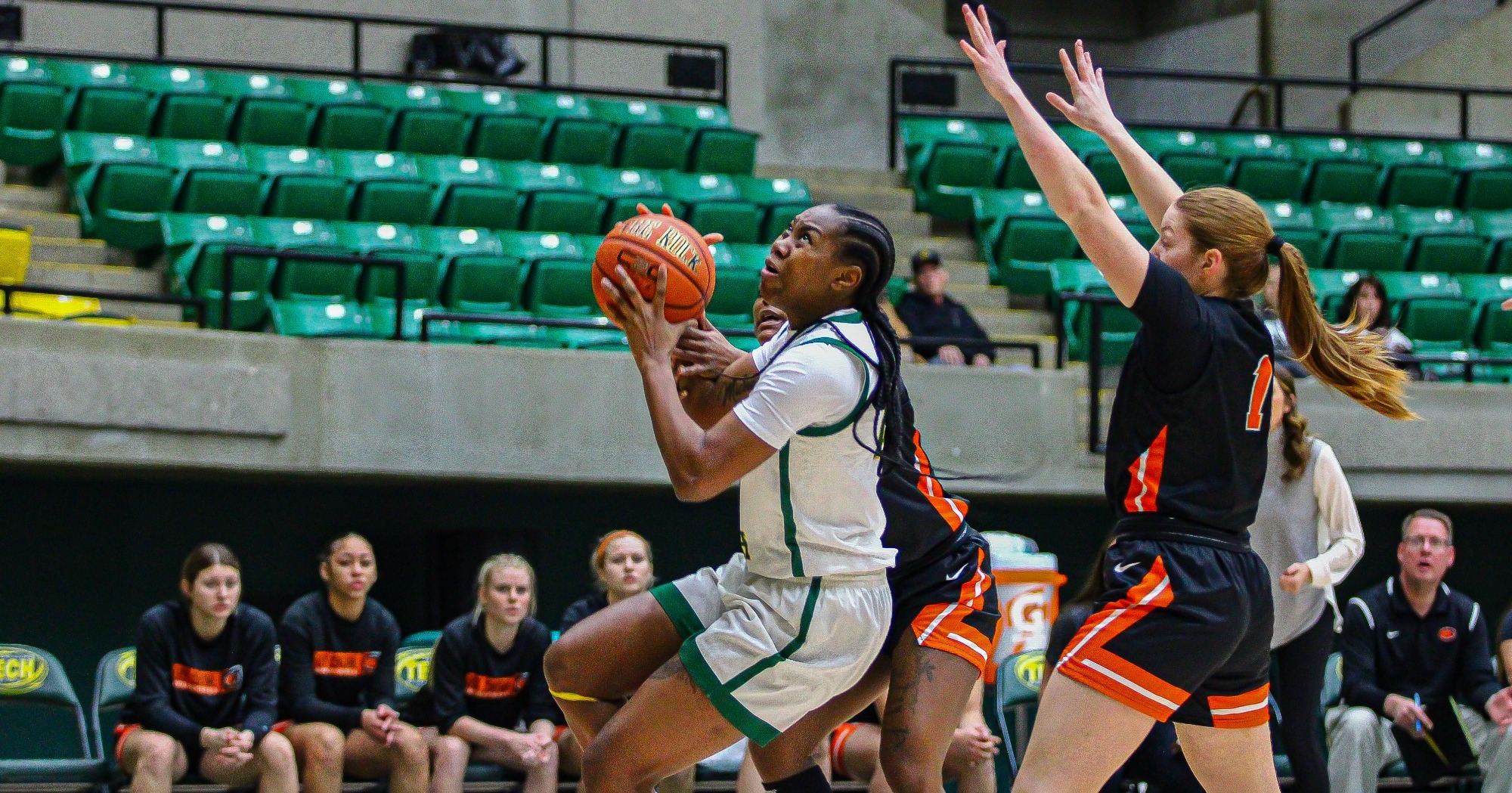 Golden Suns dominate Tigers in first game of 2024 - Arkansas Tech ...