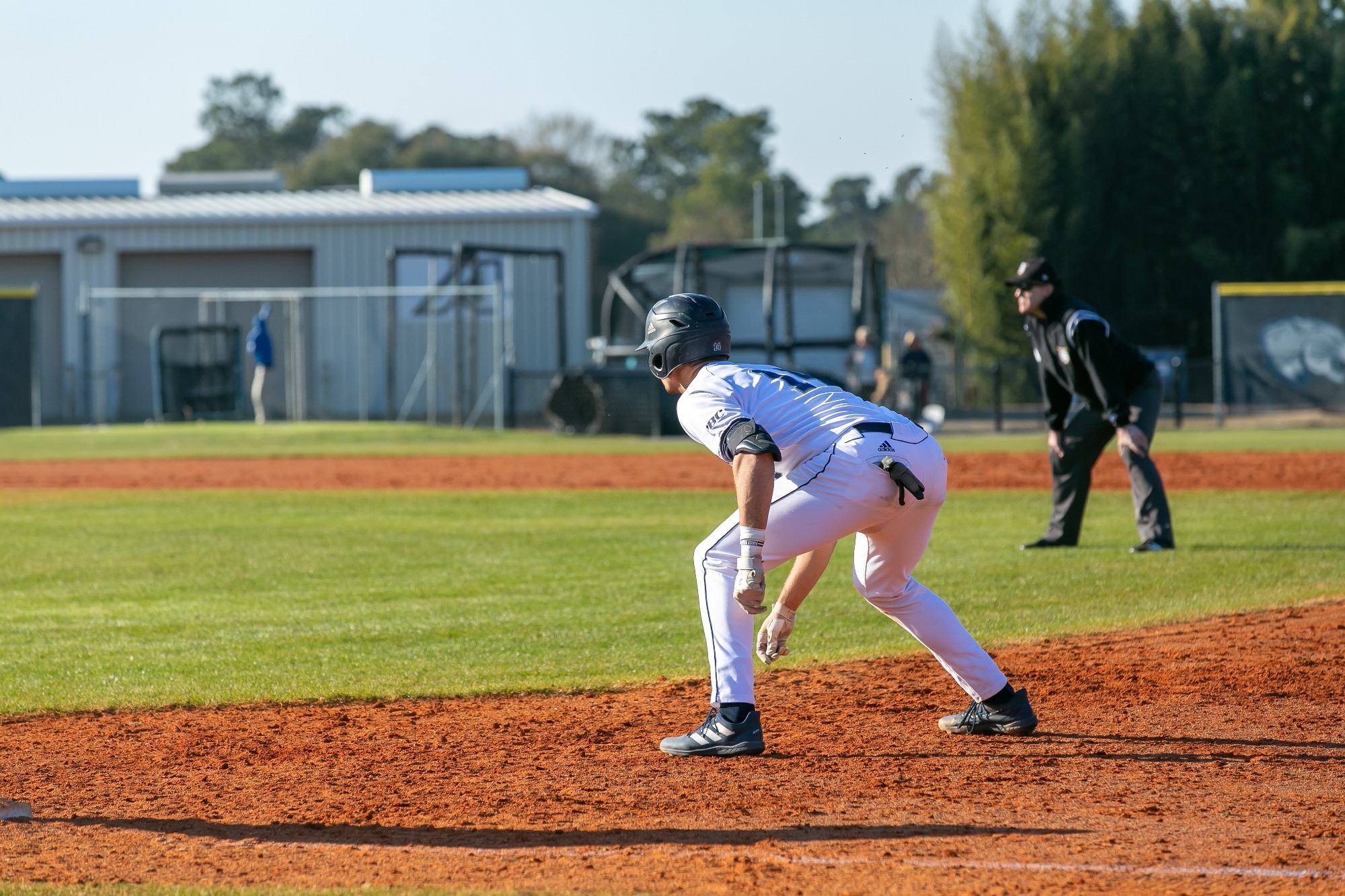 Kyle LaRoche - 2024 - Baseball - Augusta University