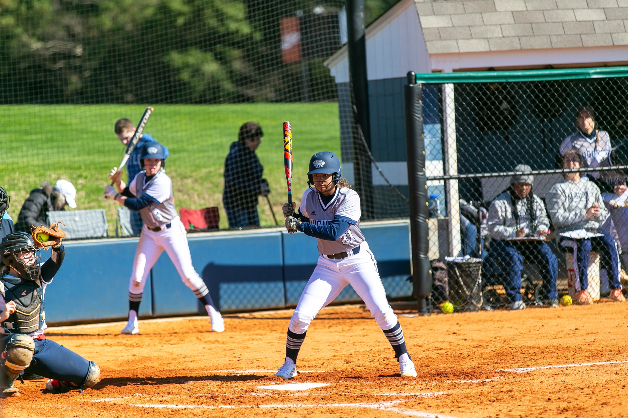 Jags Turn In Two Wins Over Wolves - Augusta University