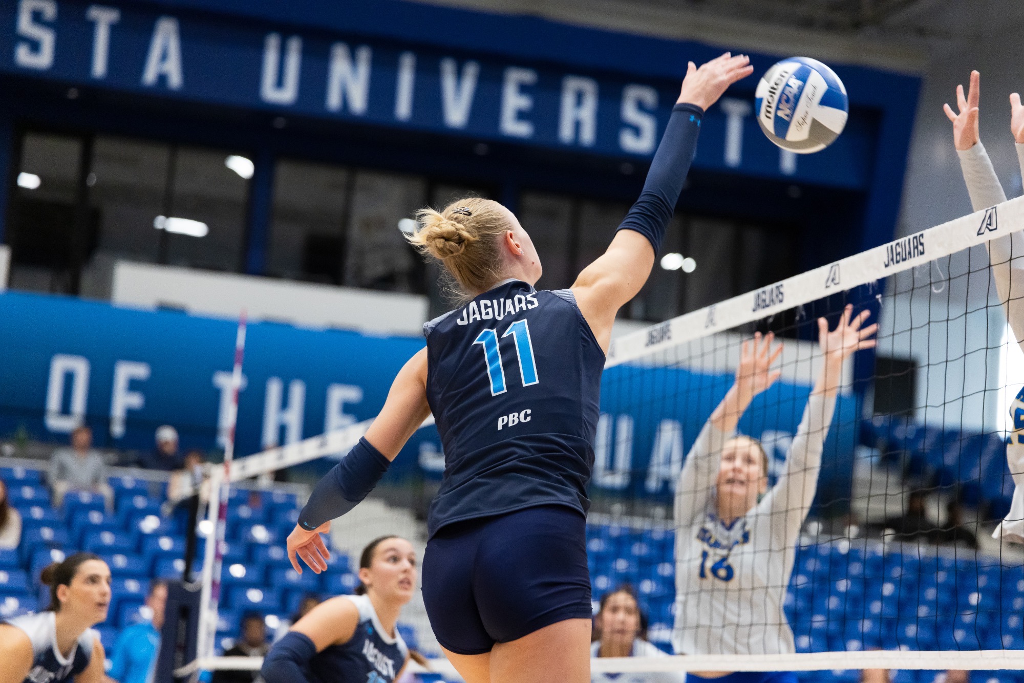 Jaguar Volleyball Reveals 2025 Signing Class - Augusta University