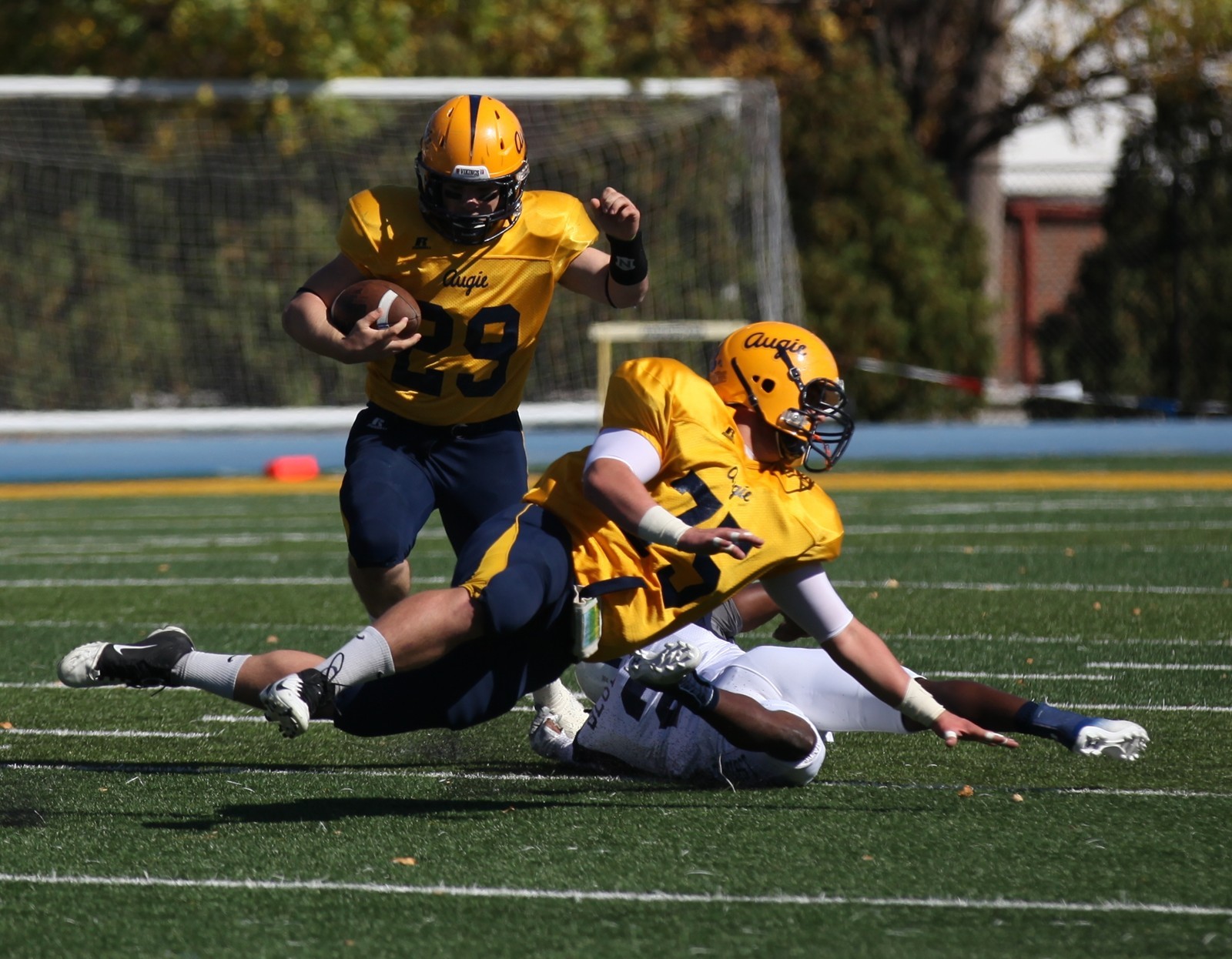 Eric Chandler - Football - Augustana College Athletics