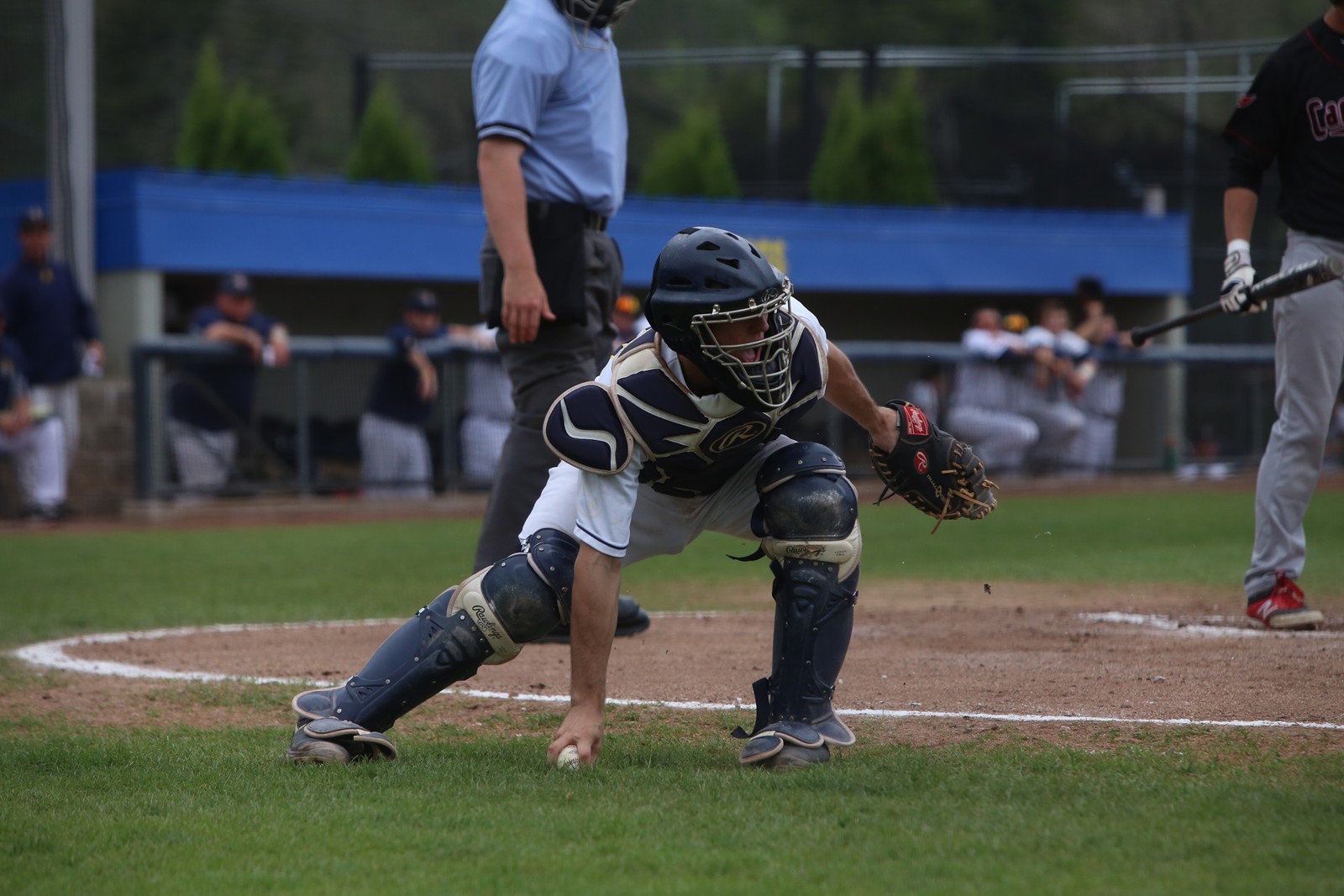 Nick Tenerelli - Baseball - Augustana College Athletics