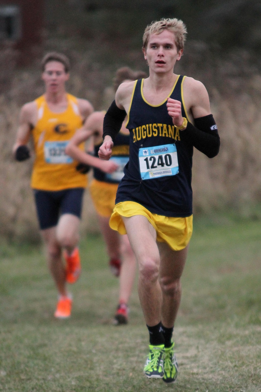 Dan Popek - Men's Cross Country - Augustana College Athletics