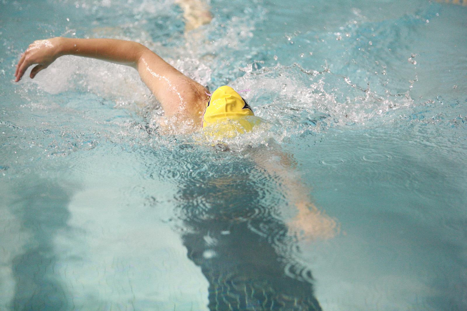 Kristin Schoenecker - Women's Swimming and Diving - Augustana College ...