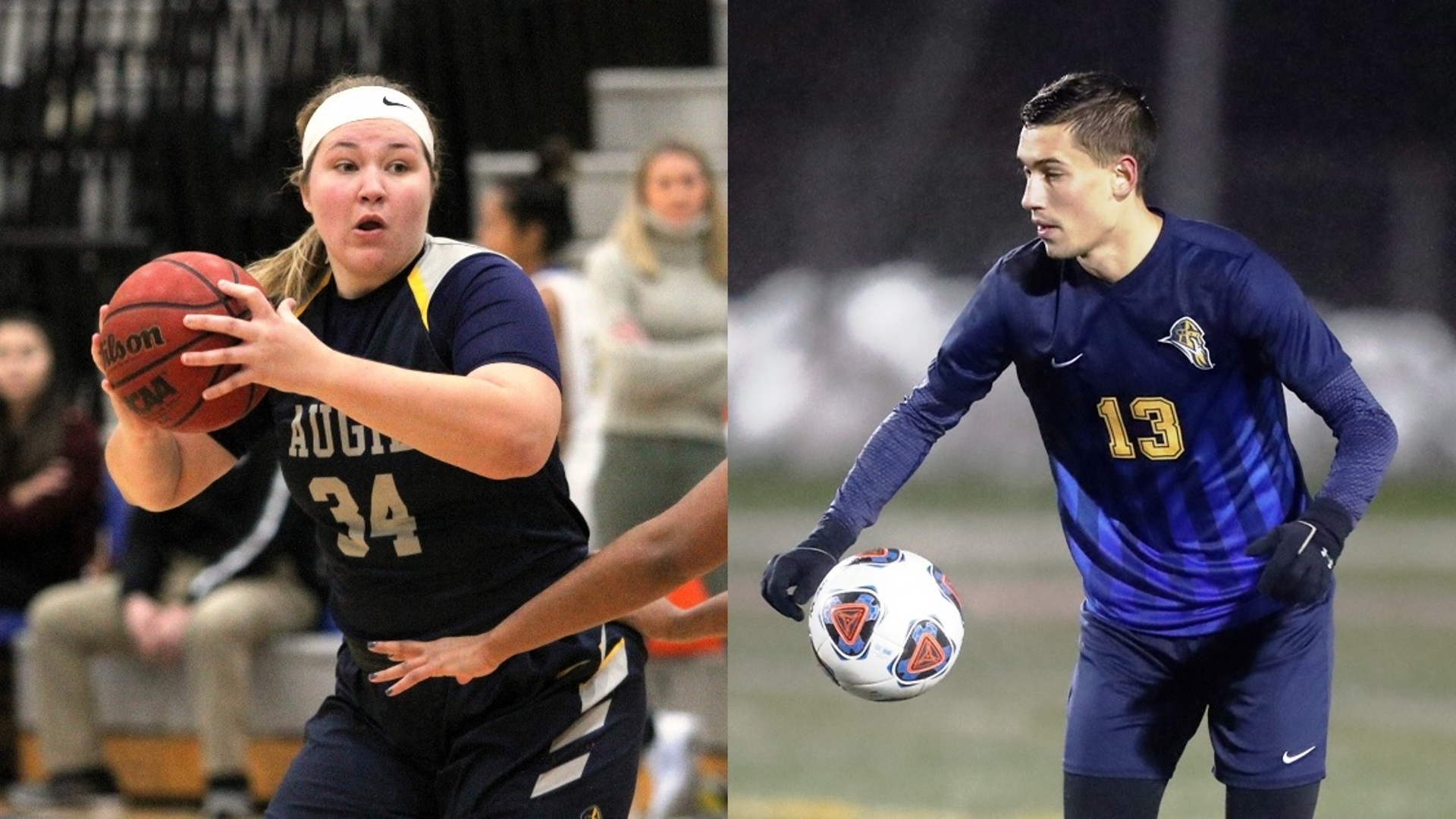 Daniel Artman - Men's Soccer - Augustana College Athletics