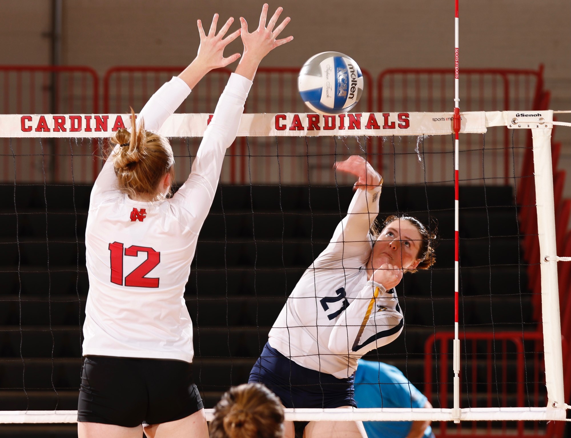 Caroline Hurst - Women's Volleyball - Augustana College Athletics