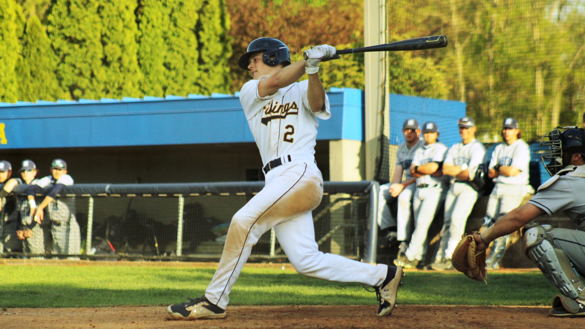 Alec McGinnis - Baseball - Augustana College Athletics